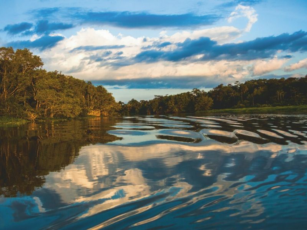 Croisière Amazonie : voyage fluvial en Amérique du Sud