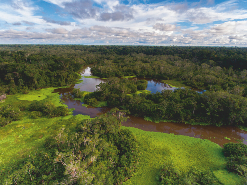 Croisière Amazonie : voyage fluvial en Amérique du Sud