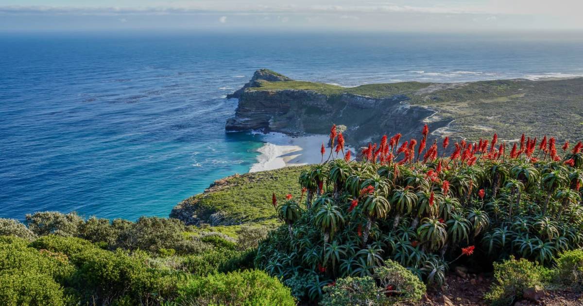Les plus beaux caps à découvrir lors d'une croisière (Cap Horn …)