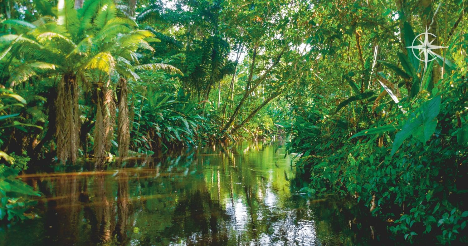 Croisière Amazonie : voyage fluvial en Amérique du Sud